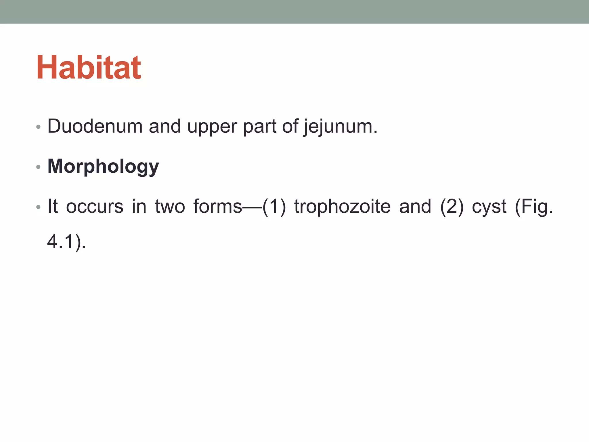 Flagellates—I (Intestinal and Genital). lecture 5 chapter 4 pptx.pptx