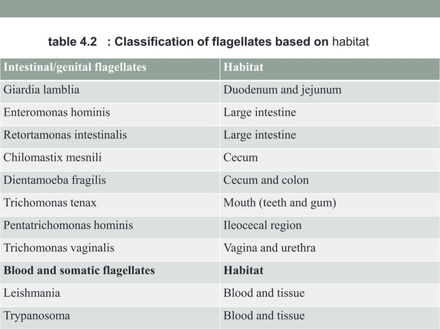 Flagellates—I (Intestinal and Genital). lecture 5 chapter 4 pptx.pptx ...