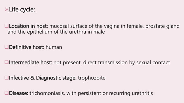 intestinal flagellates parasitology pt2.pptx
