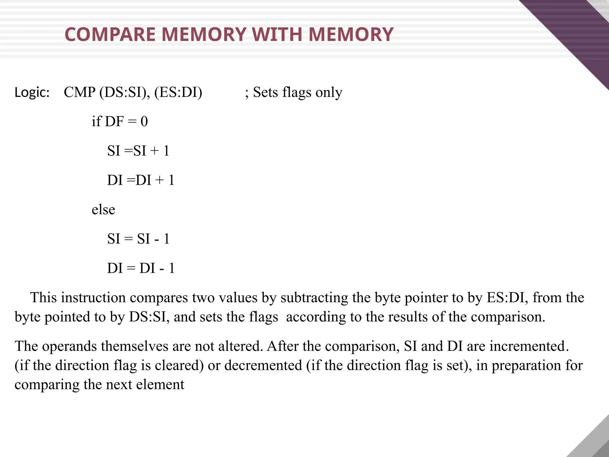 FLAG & PROCESSOR & STRING INSTRUCTIONS.pptx