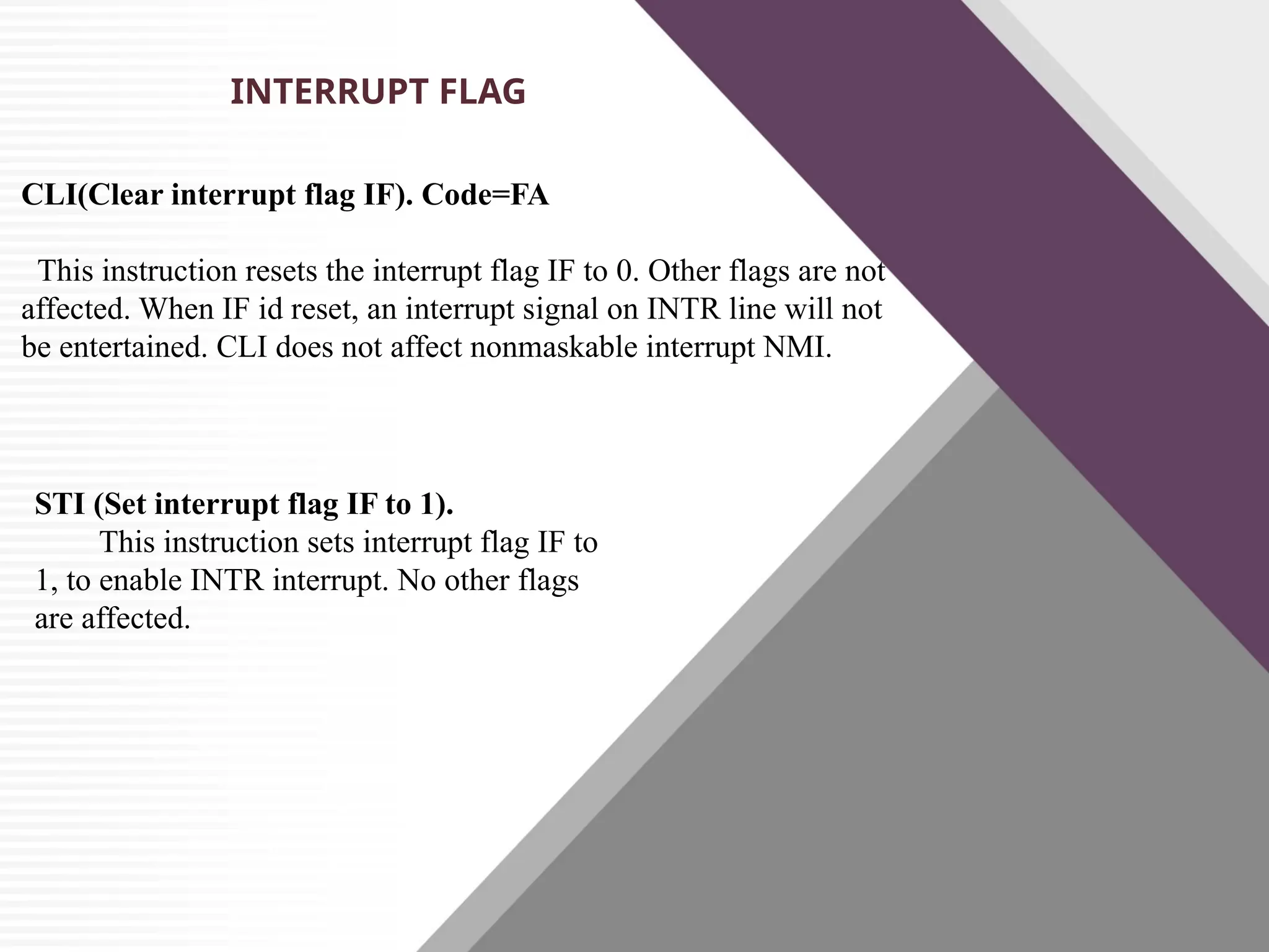 FLAG & PROCESSOR & STRING INSTRUCTIONS.pptx