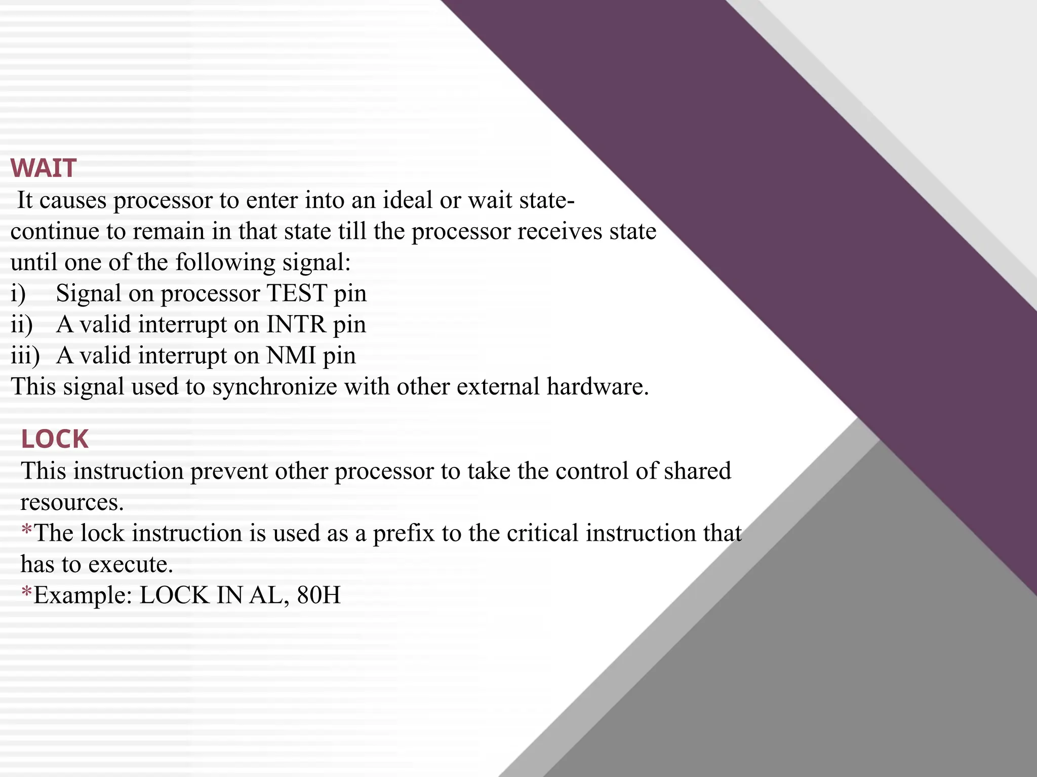 FLAG & PROCESSOR & STRING INSTRUCTIONS.pptx