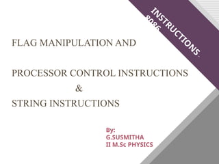 FLAG & PROCESSOR & STRING INSTRUCTIONS.pptx