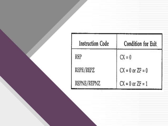 FLAG & PROCESSOR & STRING INSTRUCTIONS.pptx