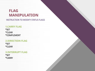 FLAG & PROCESSOR & STRING INSTRUCTIONS.pptx