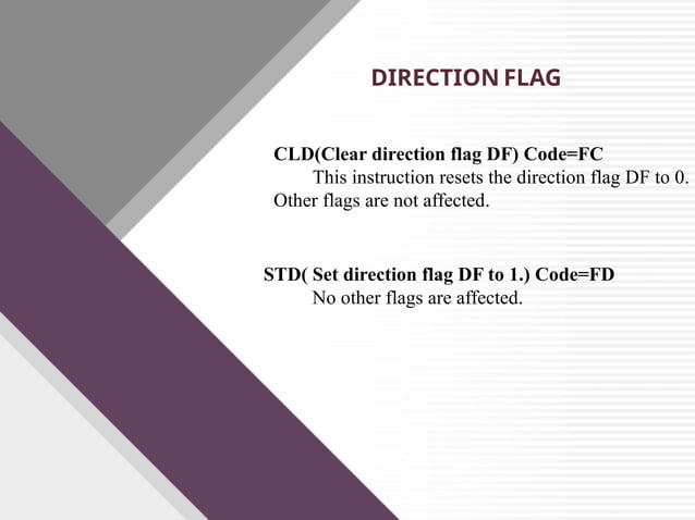 FLAG & PROCESSOR & STRING INSTRUCTIONS.pptx FLAG & PROCESSOR & STRING INSTRUCTIONS.pptx