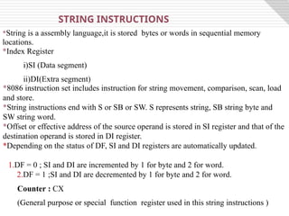 FLAG & PROCESSOR & STRING INSTRUCTIONS.pptx