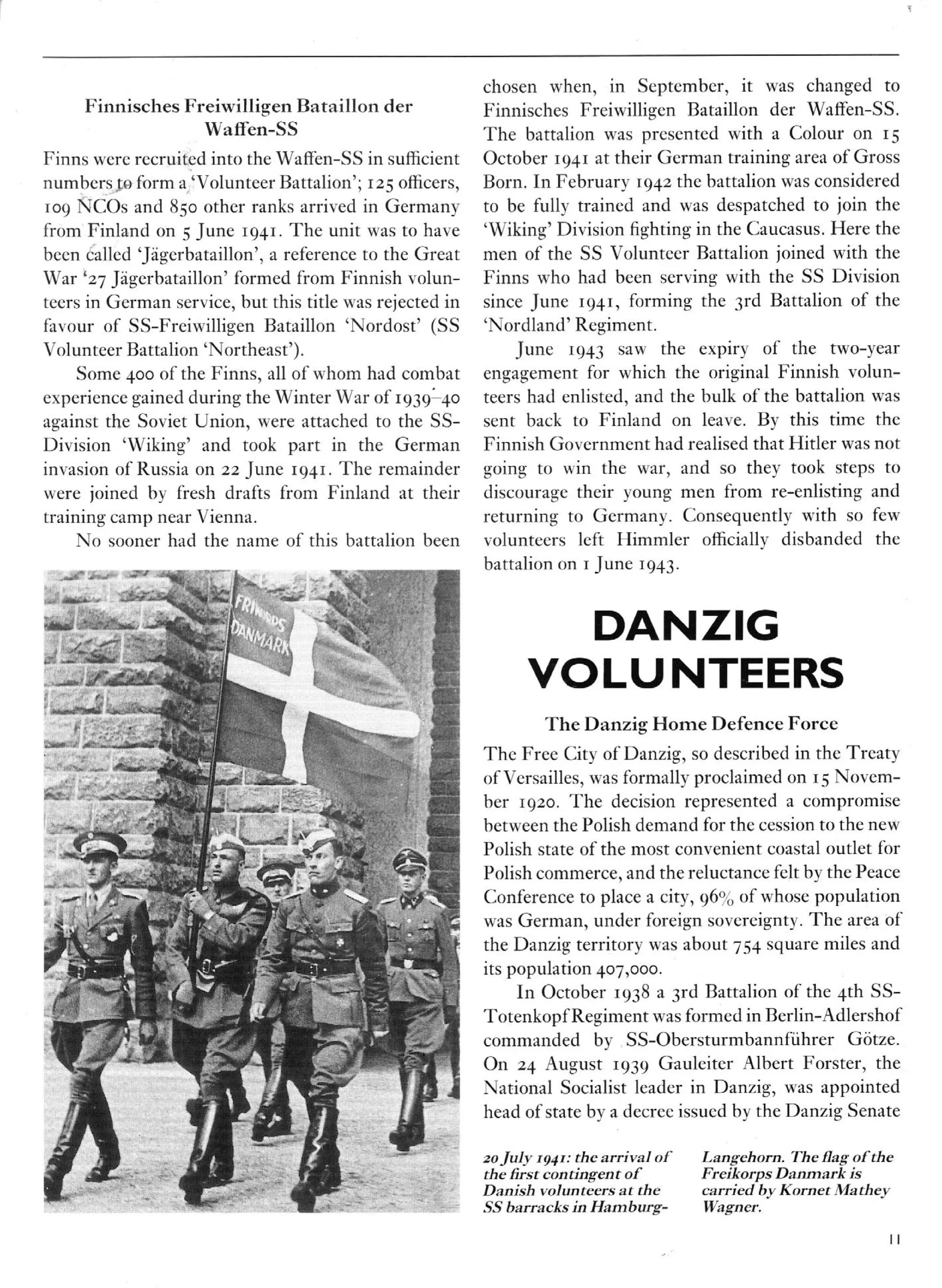 Flags of the Third Reich 2-Waffen-SS | PDF