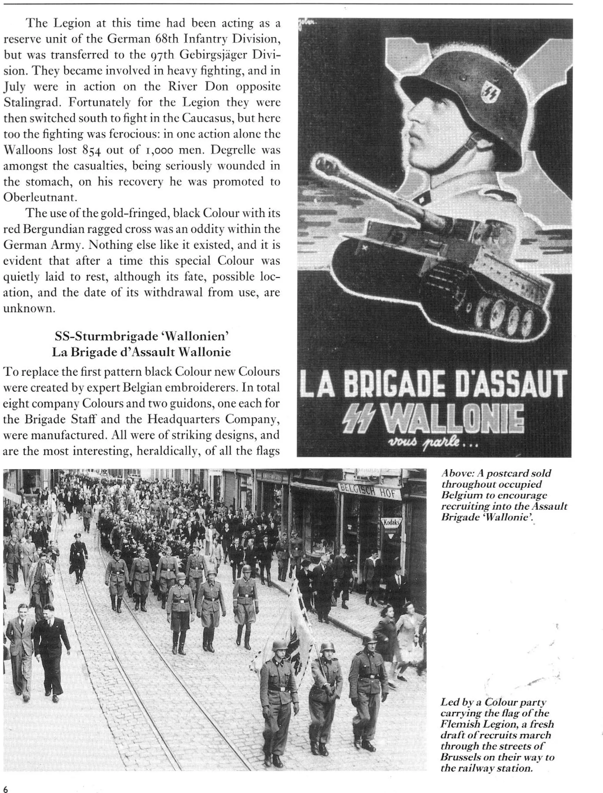 Flags of the Third Reich 2-Waffen-SS | PDF