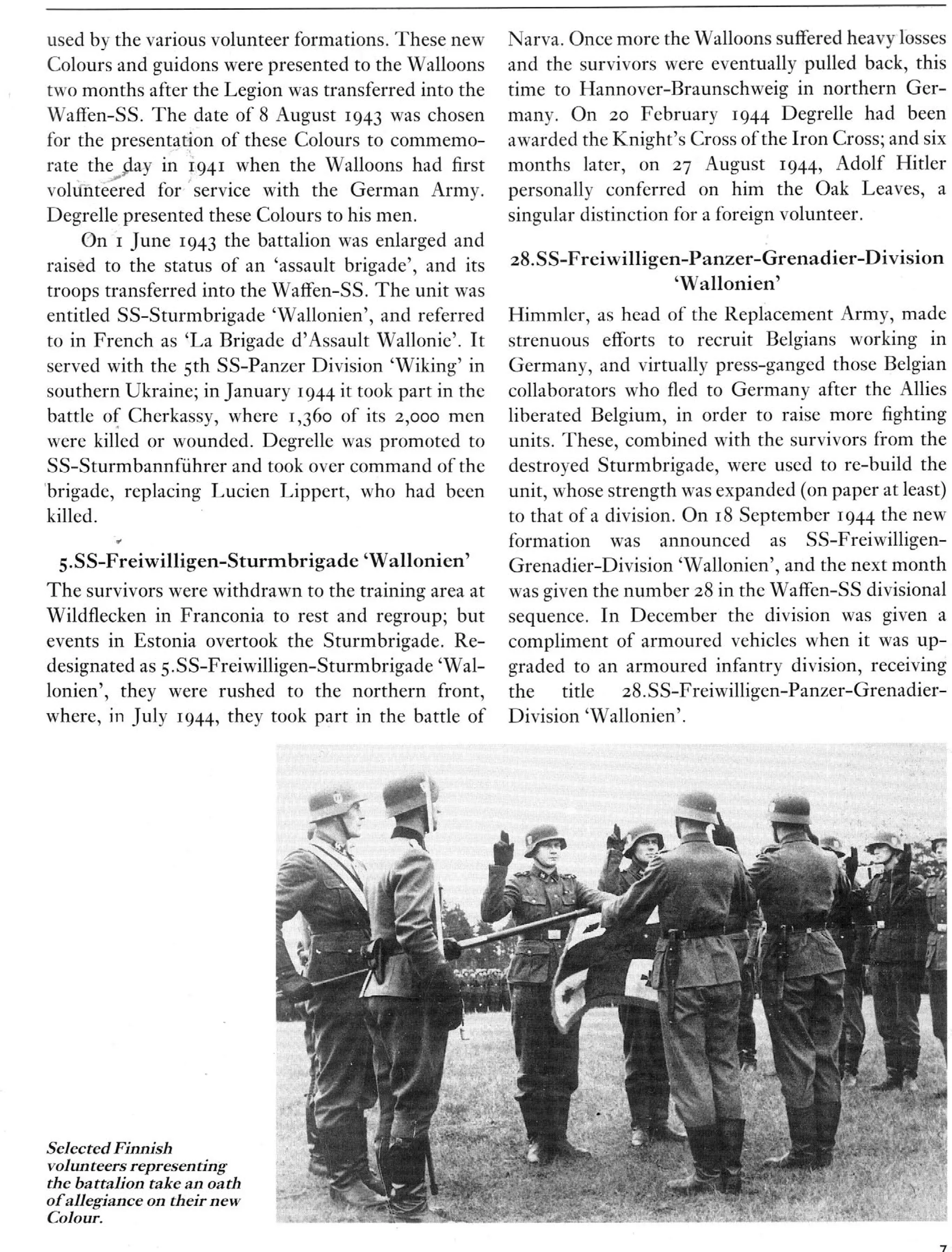 Flags of the Third Reich 2-Waffen-SS | PDF