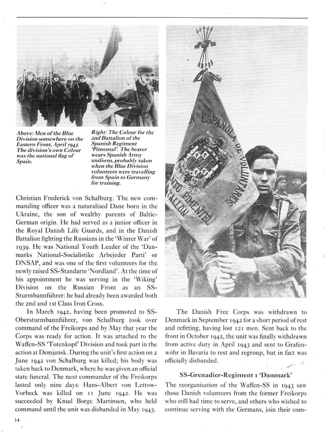 Flags of the Third Reich 2-Waffen-SS | PDF