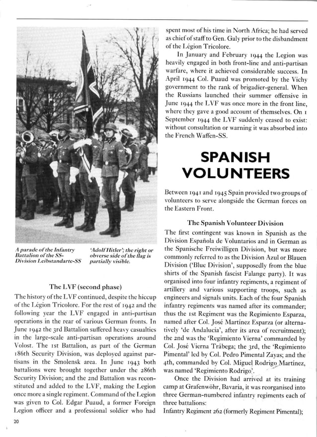 Flags of the Third Reich 2-Waffen-SS | PDF