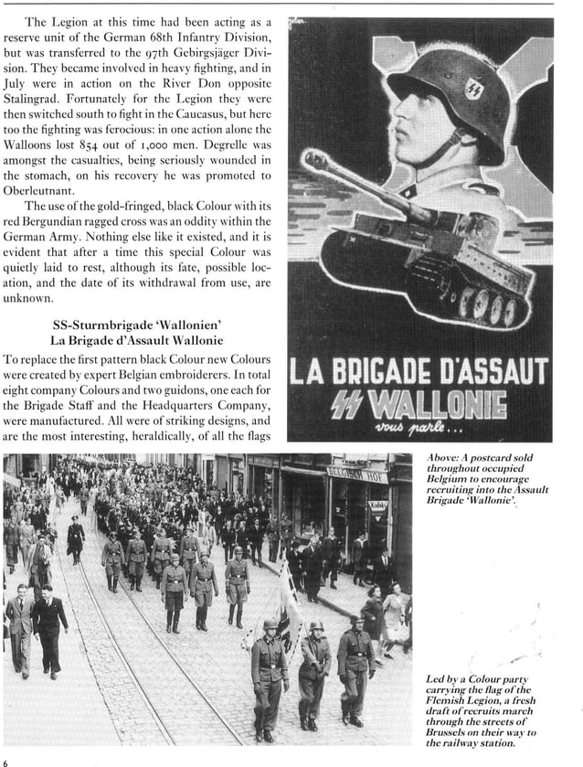 Flags of the Third Reich 2-Waffen-SS | PDF