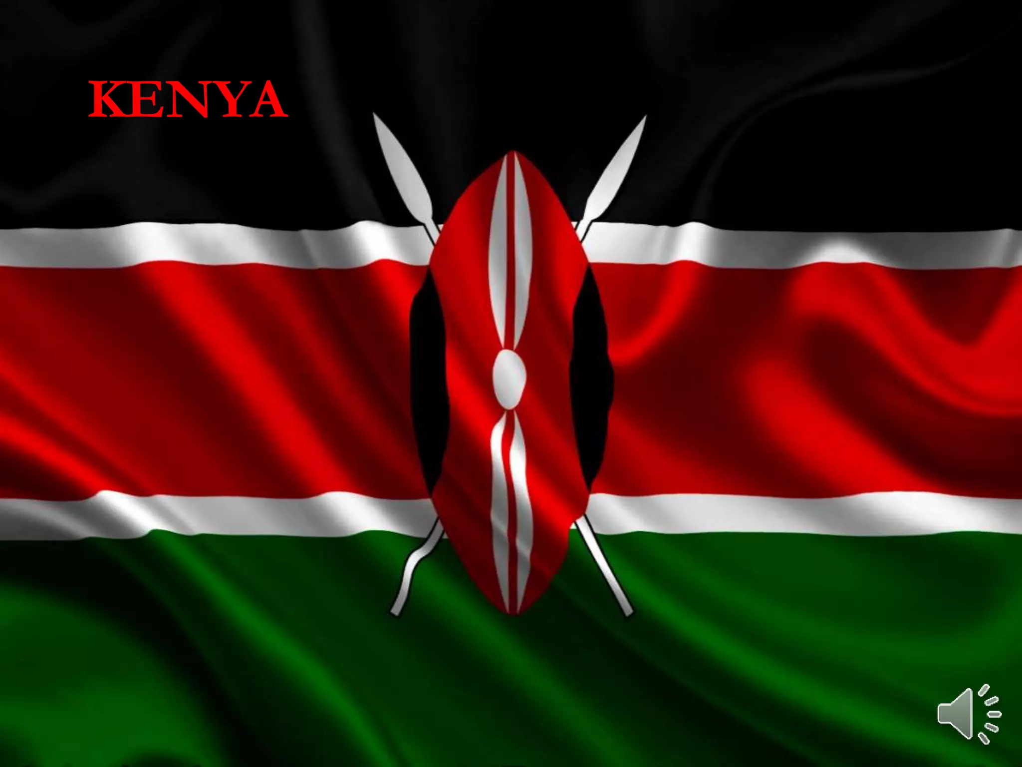 Flags with weapons | PPTX