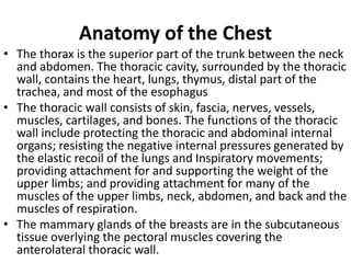 Flail chest | PPTX