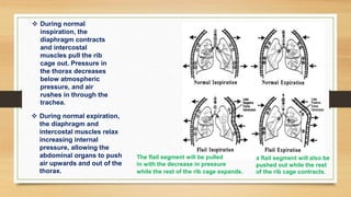 Flail chest | PPTX