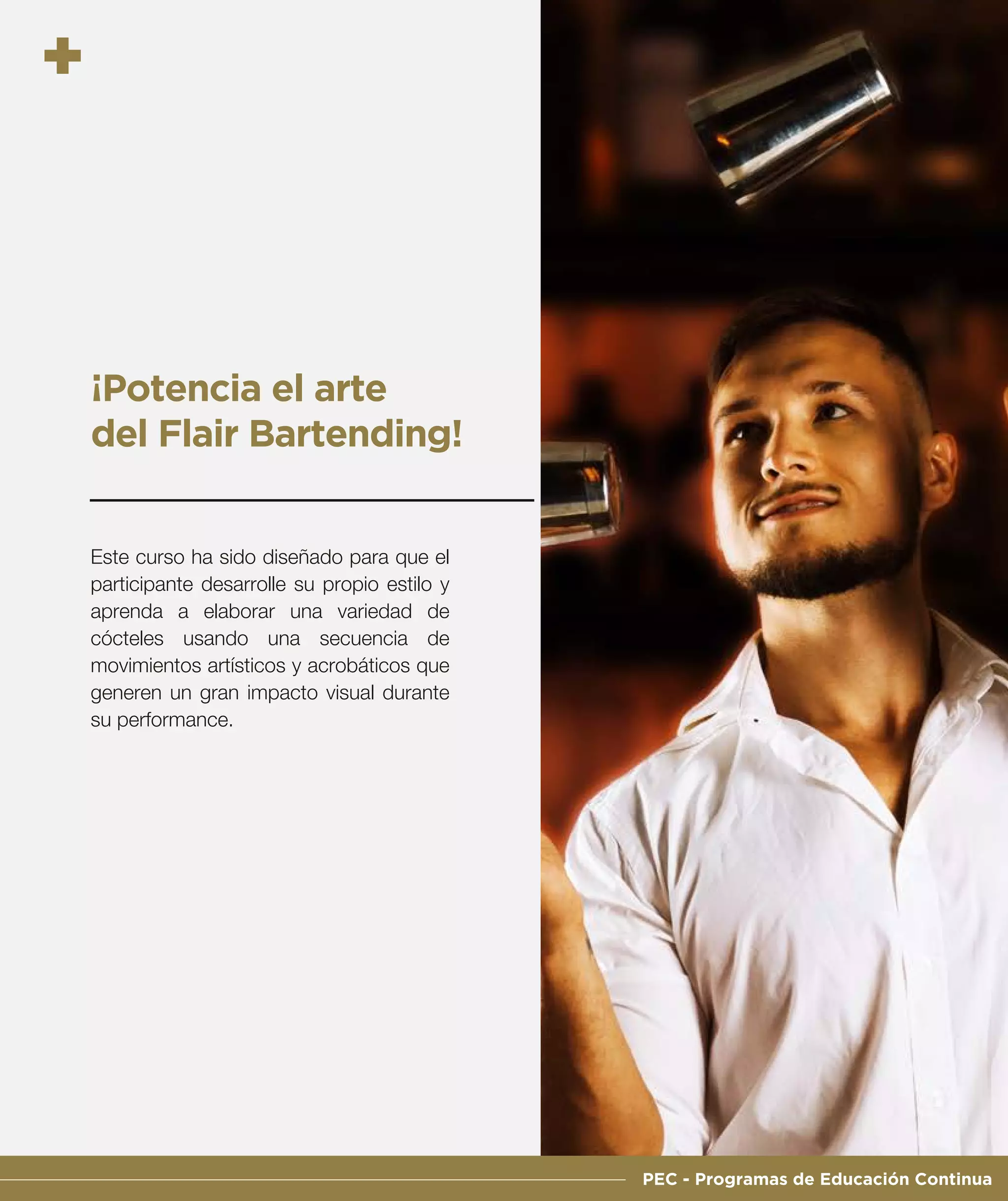 FLAIR BARTENDING.pdf