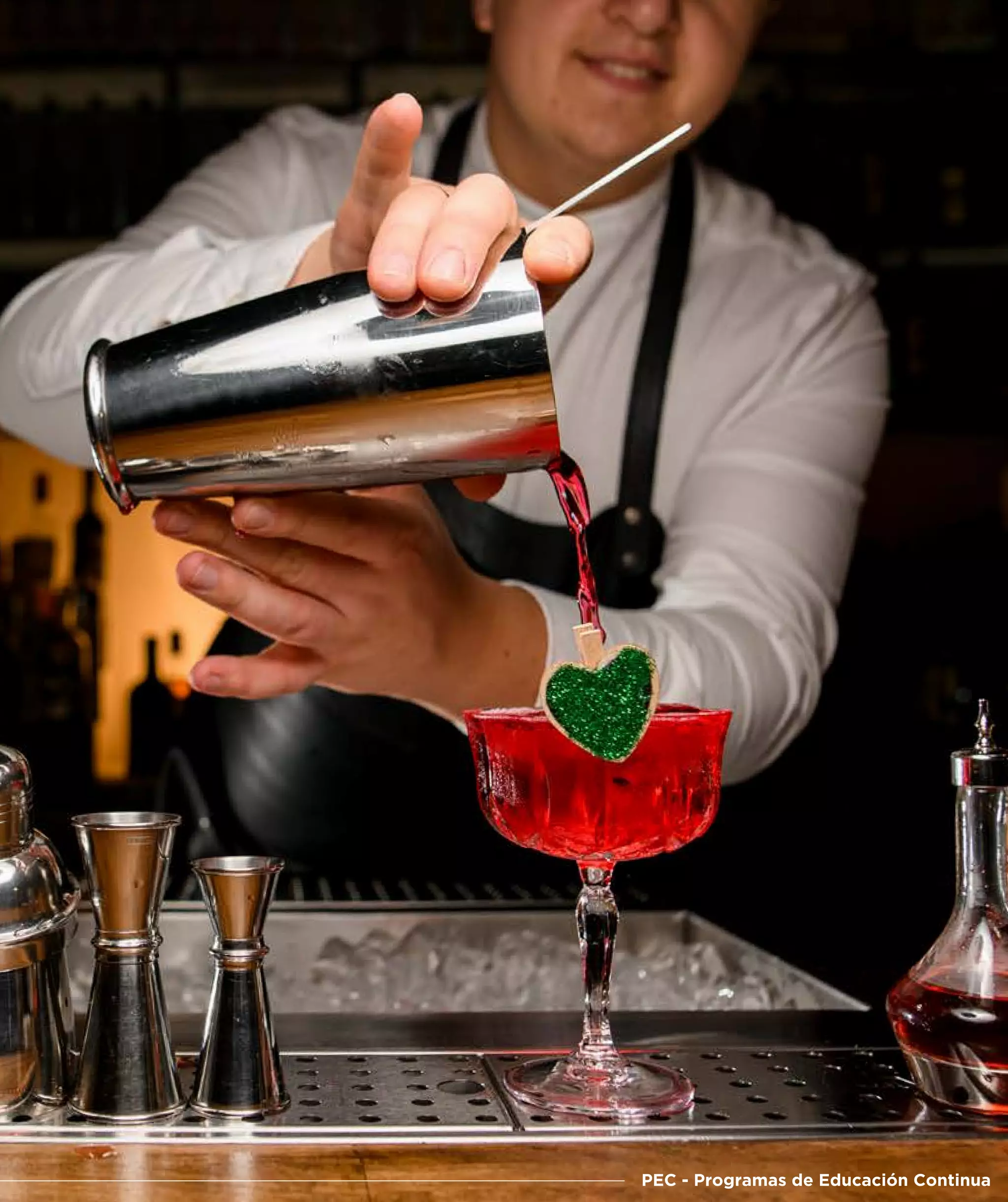 FLAIR BARTENDING.pdf