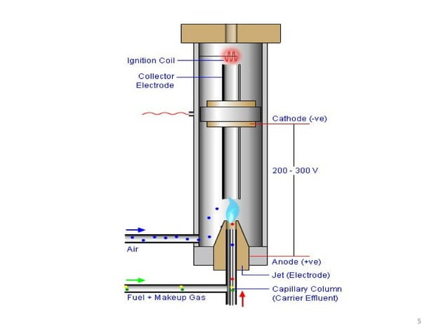 Flame ionization detector | PPT