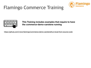 Flamingo Commerce Module Details | PPT