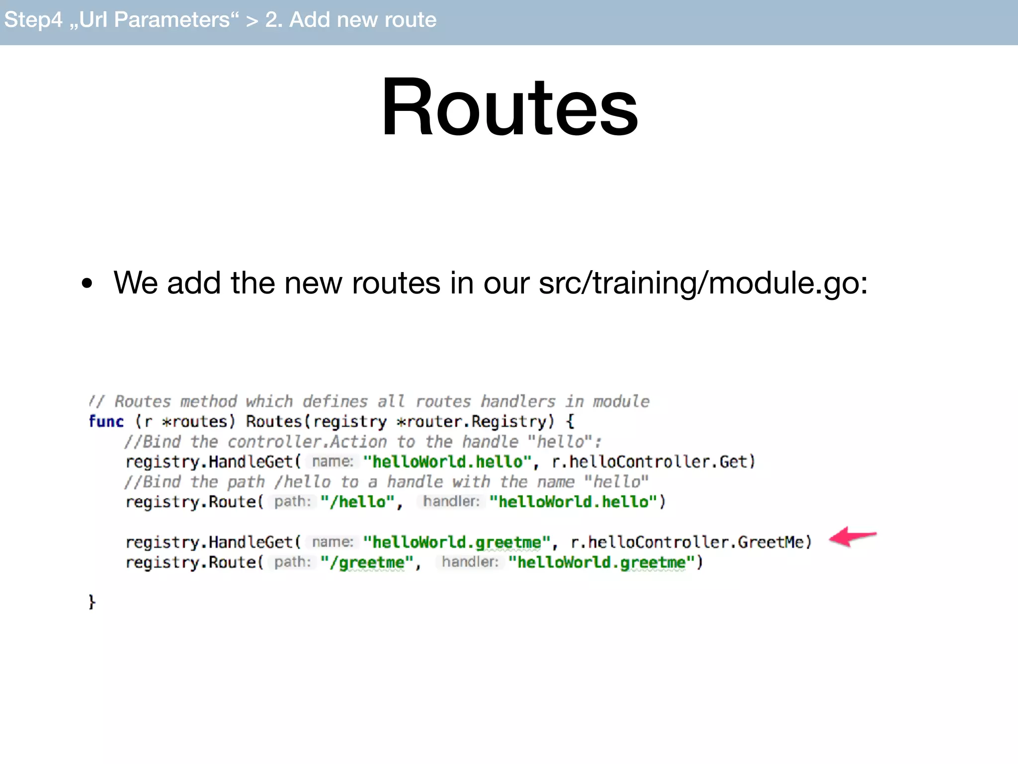Flamingo Hello World Tutorial | PPT