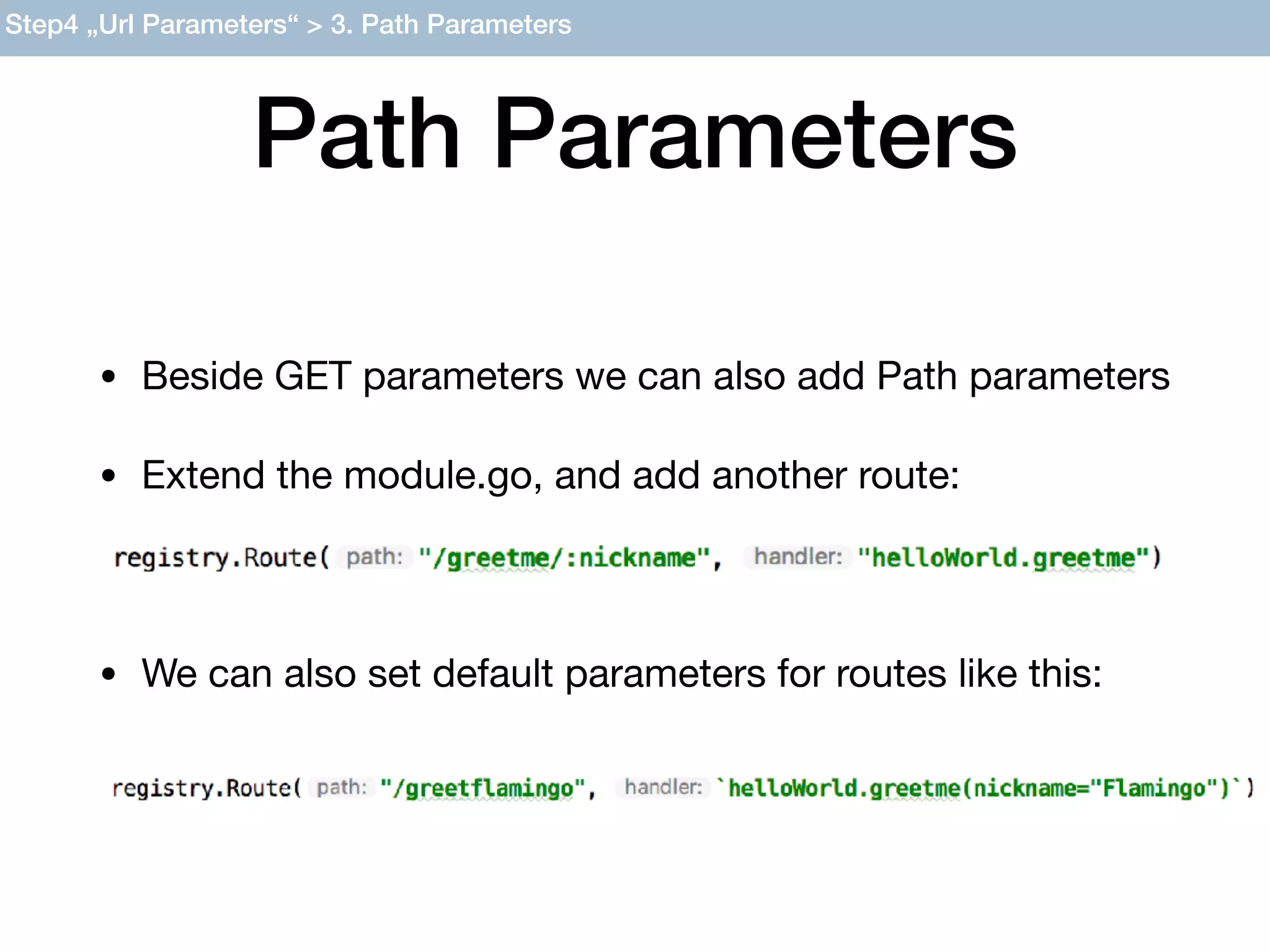 Flamingo Hello World Tutorial | PPT