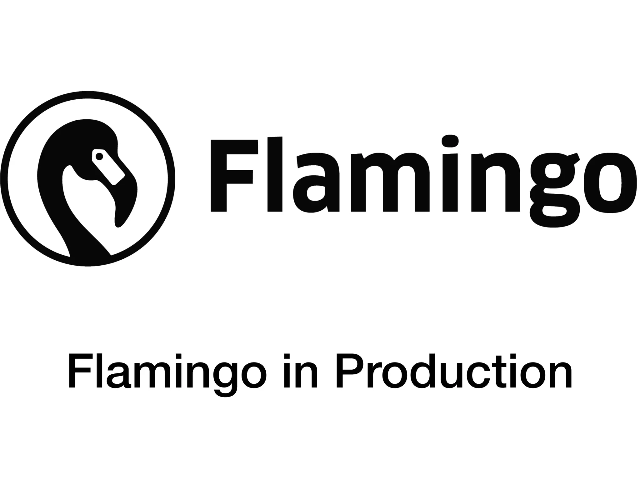 Flamingo in Production | PDF