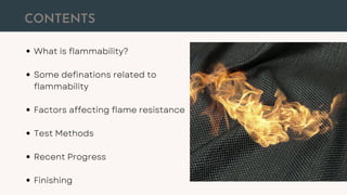 FLAMMABILITY.pdf