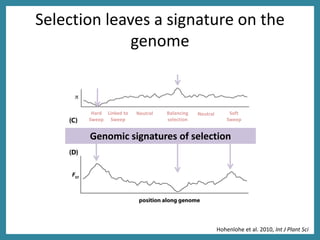 Flanagan Evolution2017 talk | PPTX
