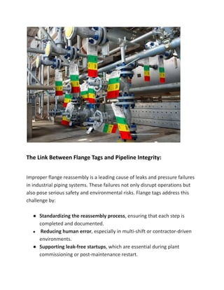 Flange Tagging Solutions for Pipeline Integrity and Process Safety | PDF
