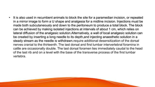 Flank anesthesia in bovine | PPTX