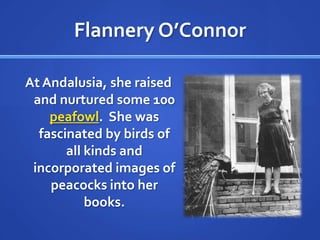 Flannery O Connor | PPT