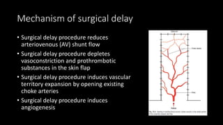 Flap-Delay-Phenomena.pptx