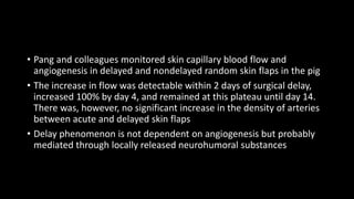 Flap-Delay-Phenomena.pptx