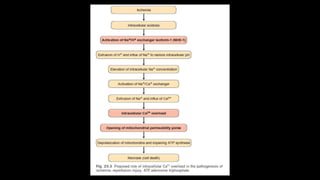 Flap-Delay-Phenomena.pptx
