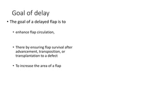 Flap delay.pptx