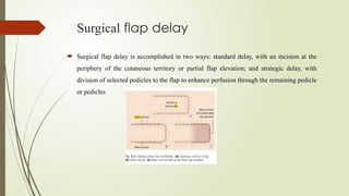 Flap Delay- types, pathophysiology, classification | PPTX
