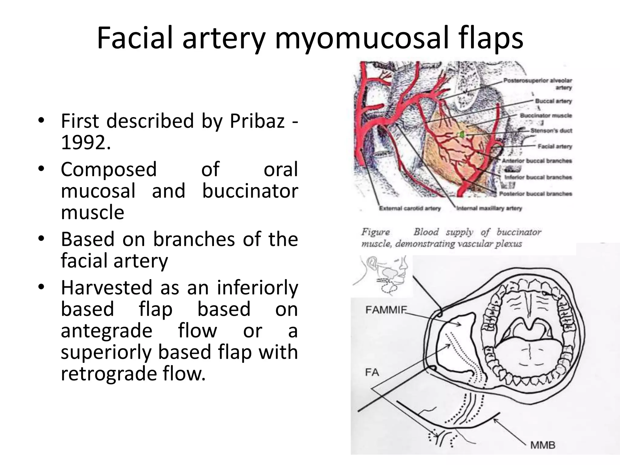 Flap in head and neck surgery part 1 | PPTX
