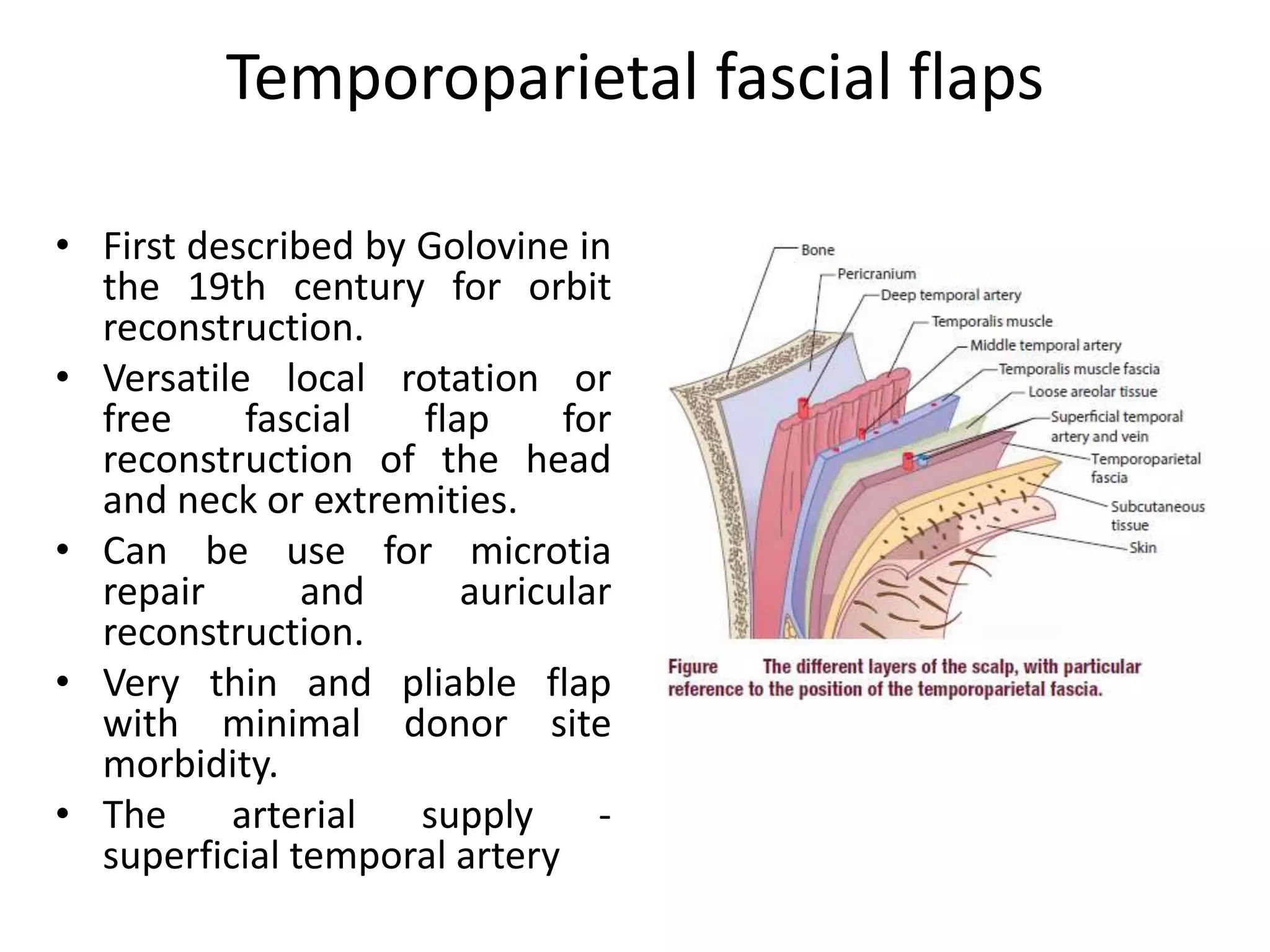 Flap in head and neck surgery part 1 | PPTX