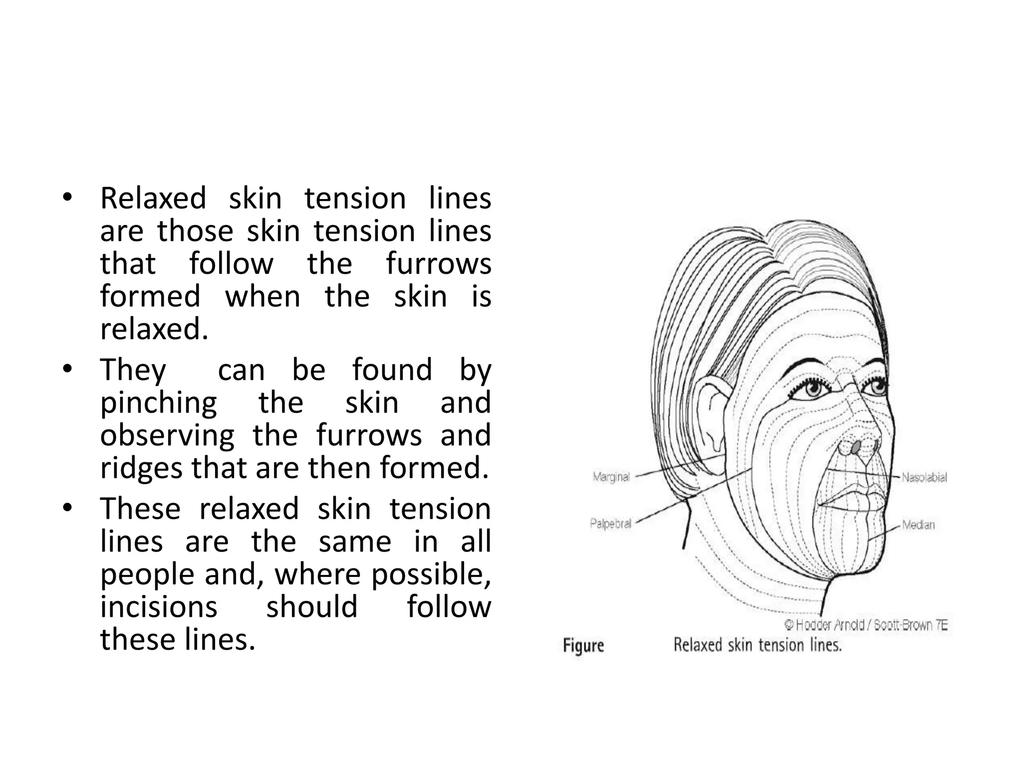 Flap in head and neck surgery part 1 | PPTX