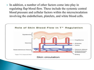 Flap physiology | PPTX
