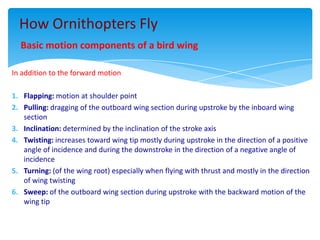 Flapping Ornithopters | PPT