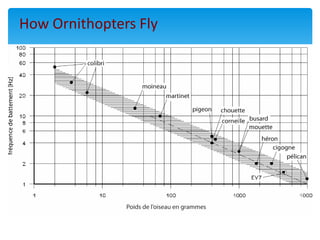 Flapping Ornithopters | PPT