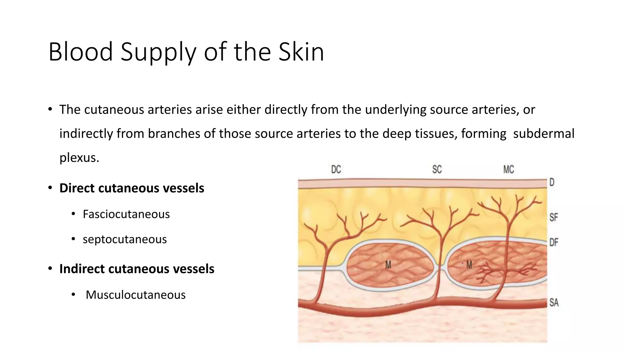 Flaps and grafts in plastic surgery | PPTX