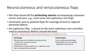 Flaps and grafts in plastic surgery | PPTX