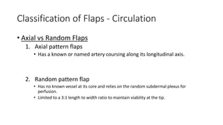 Flaps | PPTX