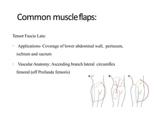 Flaps and its classification | PPTX