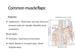 Flaps and its classification | PPTX