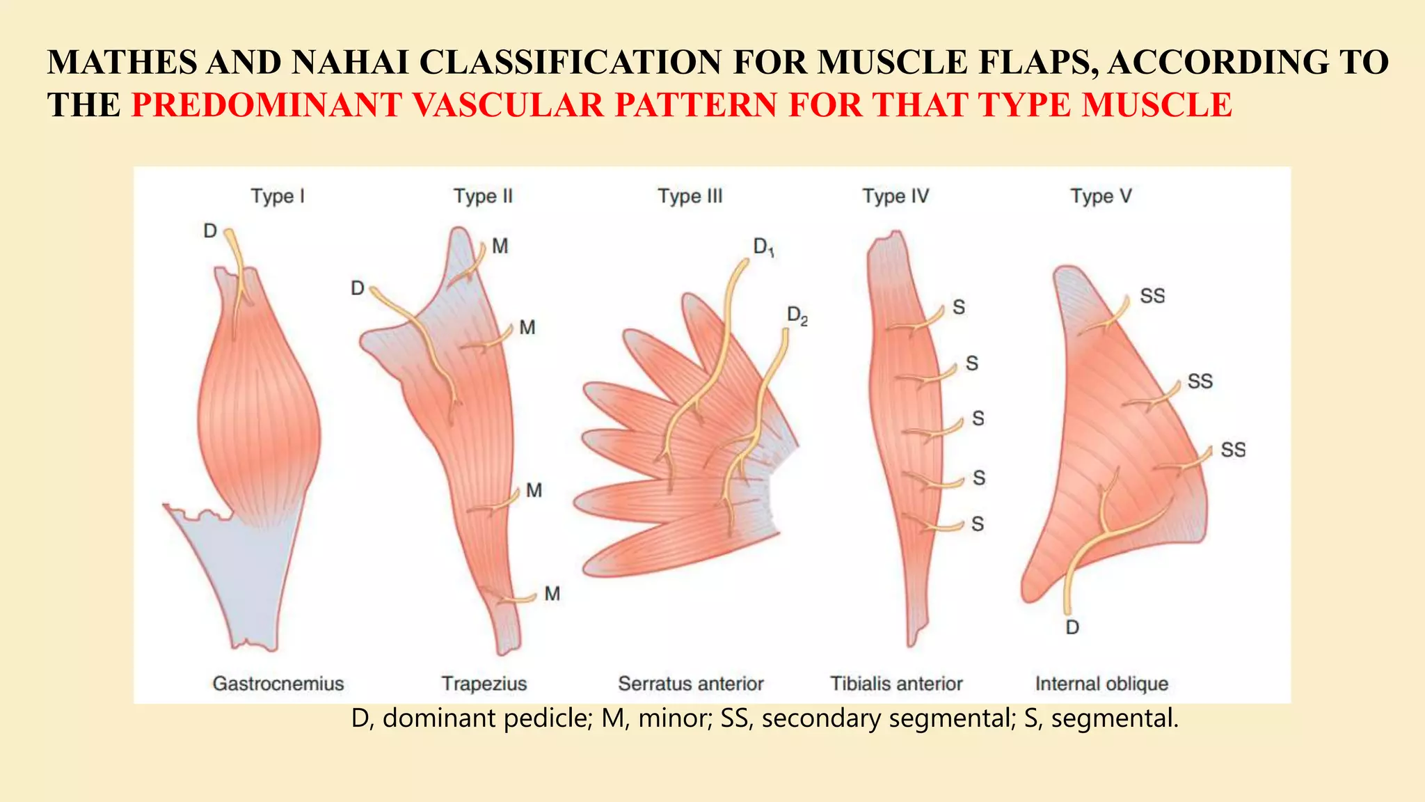 FLAPS IN ORAL AND MAXILLOFACIAL SURGERY (monday ppt).pptx