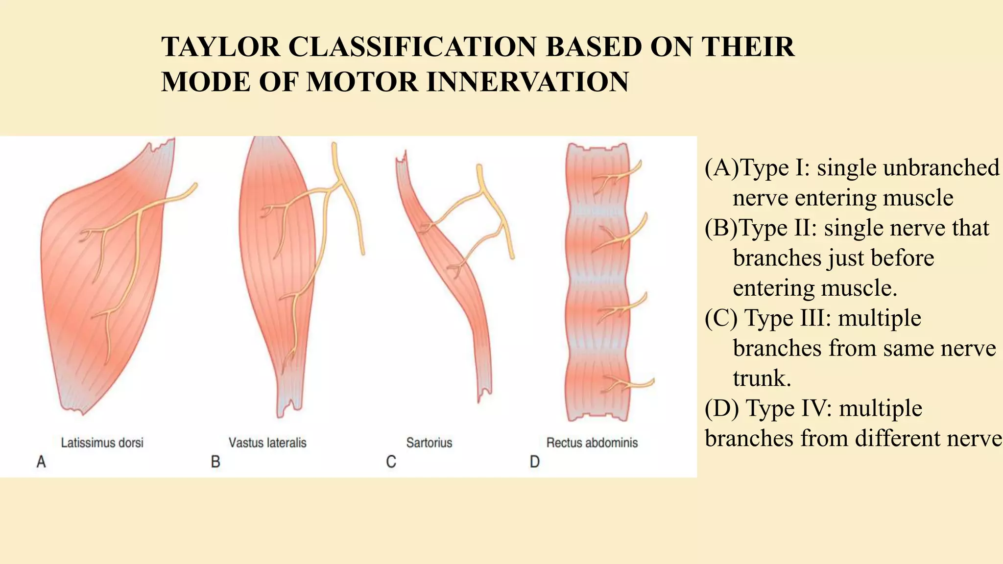 FLAPS IN ORAL AND MAXILLOFACIAL SURGERY (monday ppt).pptx